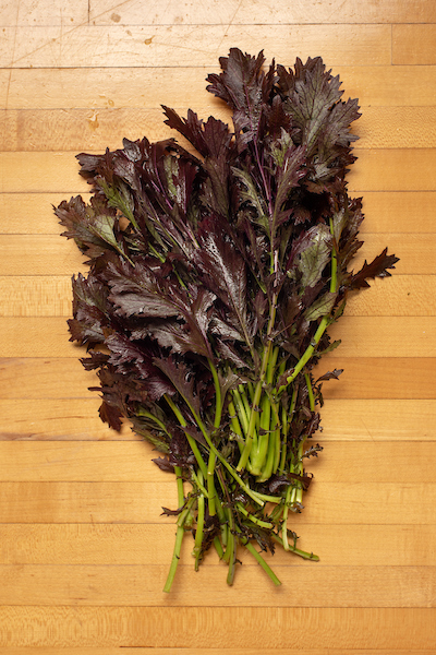 Mizuna Archives | Cook With What You Have