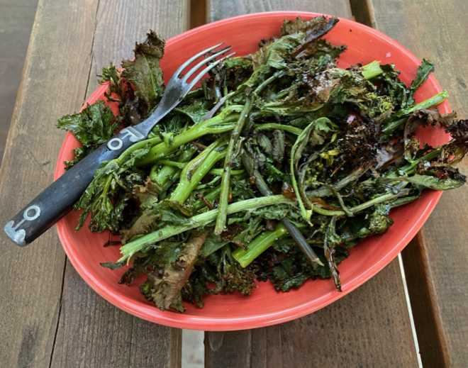 Raab (Kale, Broccoli, Collard, Turnip, etc.) Archives | Cook With What ...